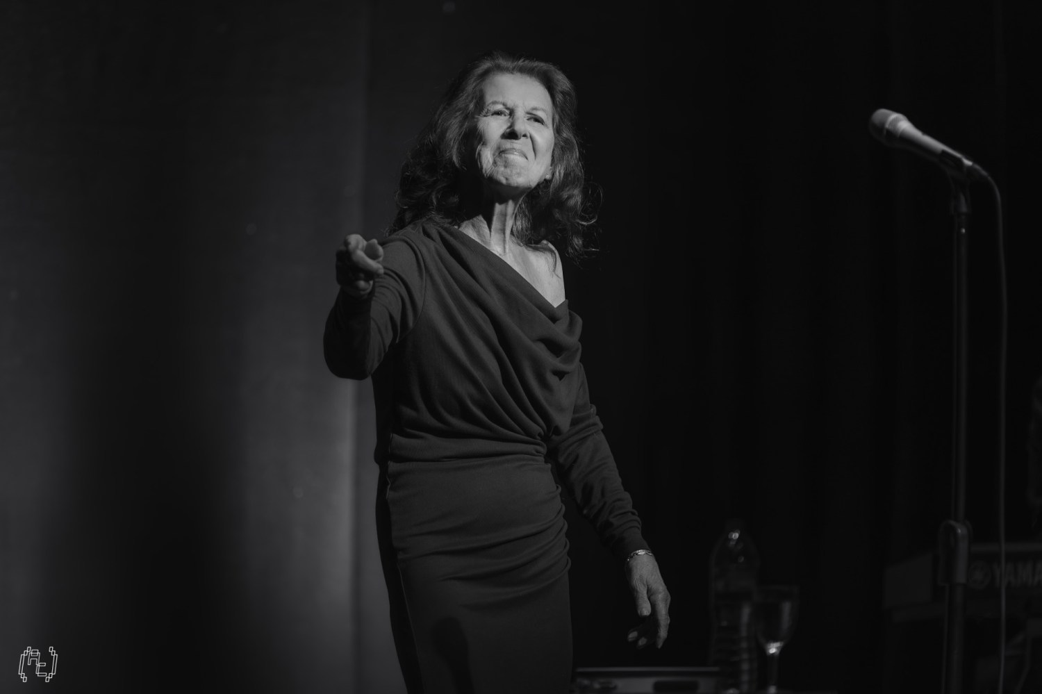 Still raising the roof, still breaking hearts. Elkie Brooks – Live at ...