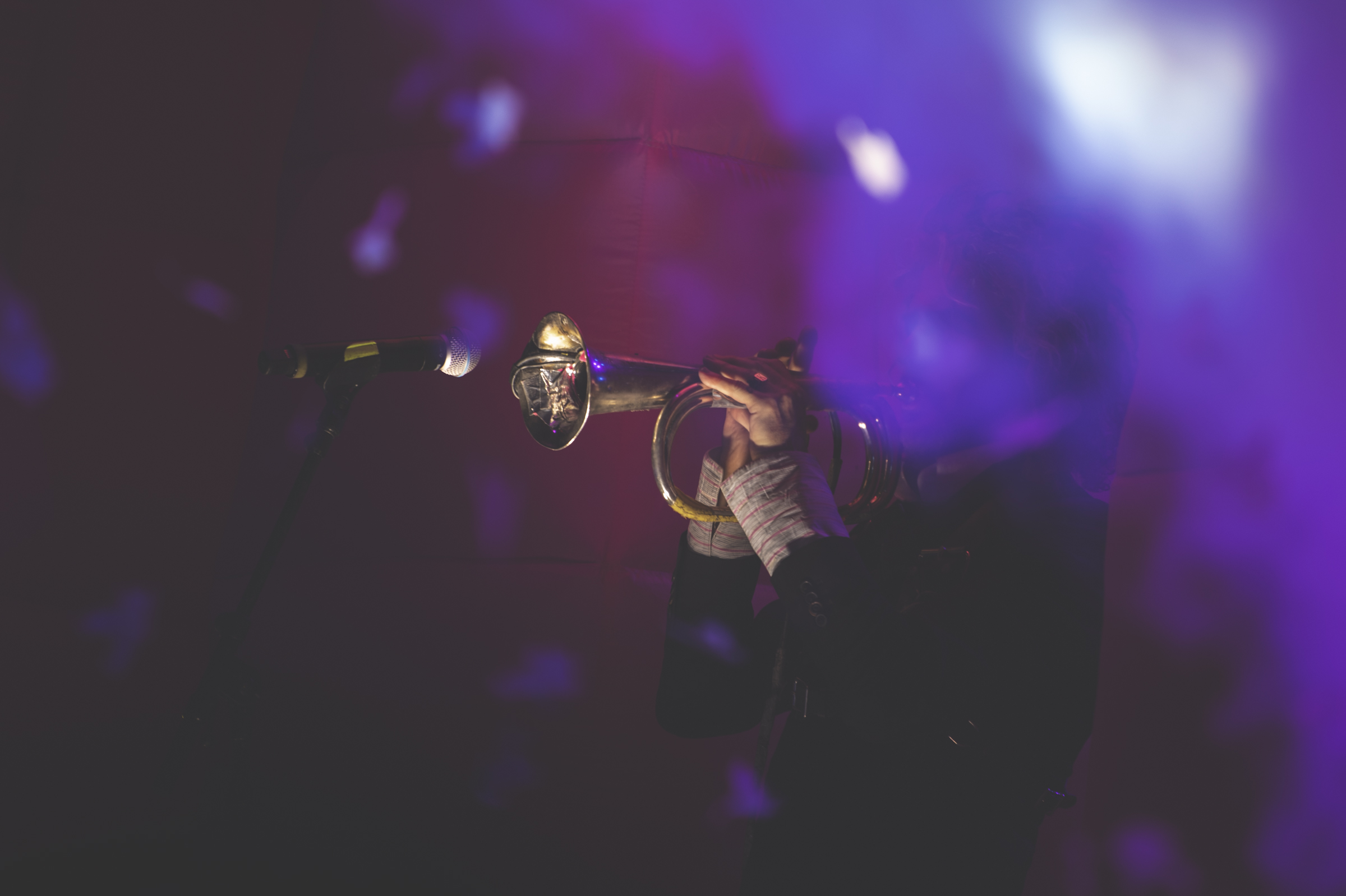 Losing the Plot in Pink: The Flaming Lips’ at Manchester’s O2 Apollo ...